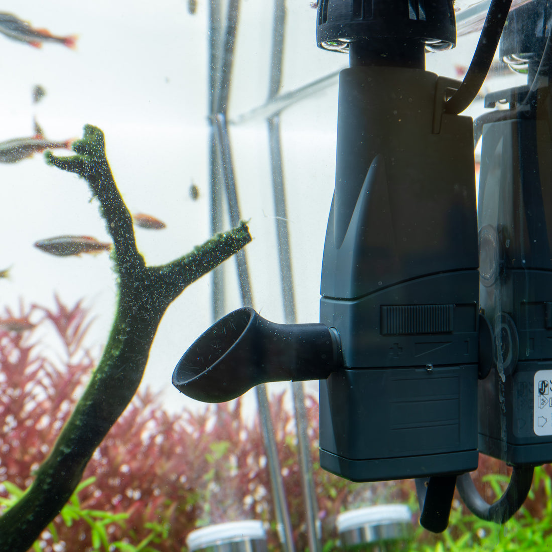 Lily Pipe & Jet Pipe für Eheim Skim 350 - Pachi Aquarium